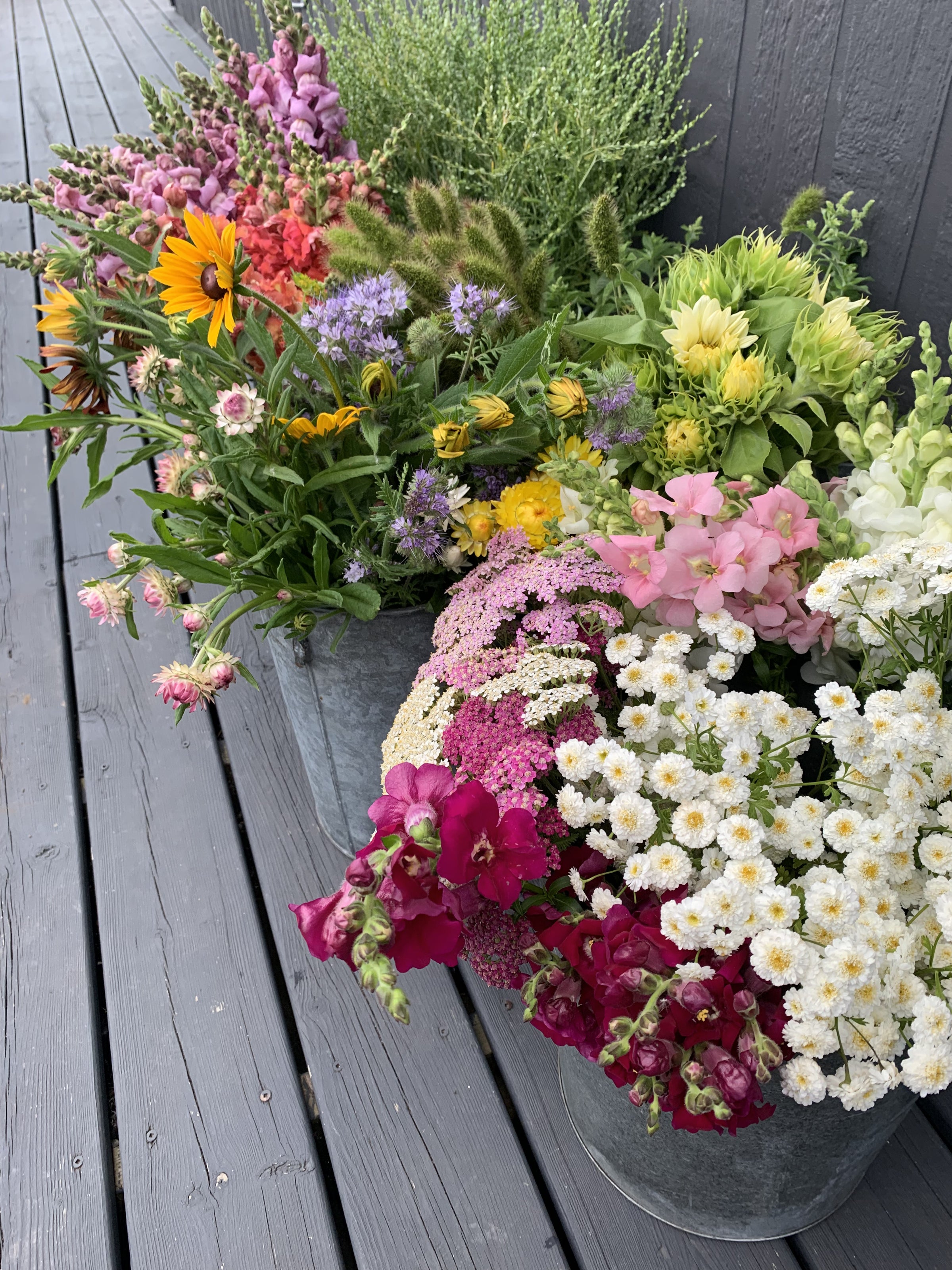 Tell us what your preferred color palette is and we’ll choose the ...
